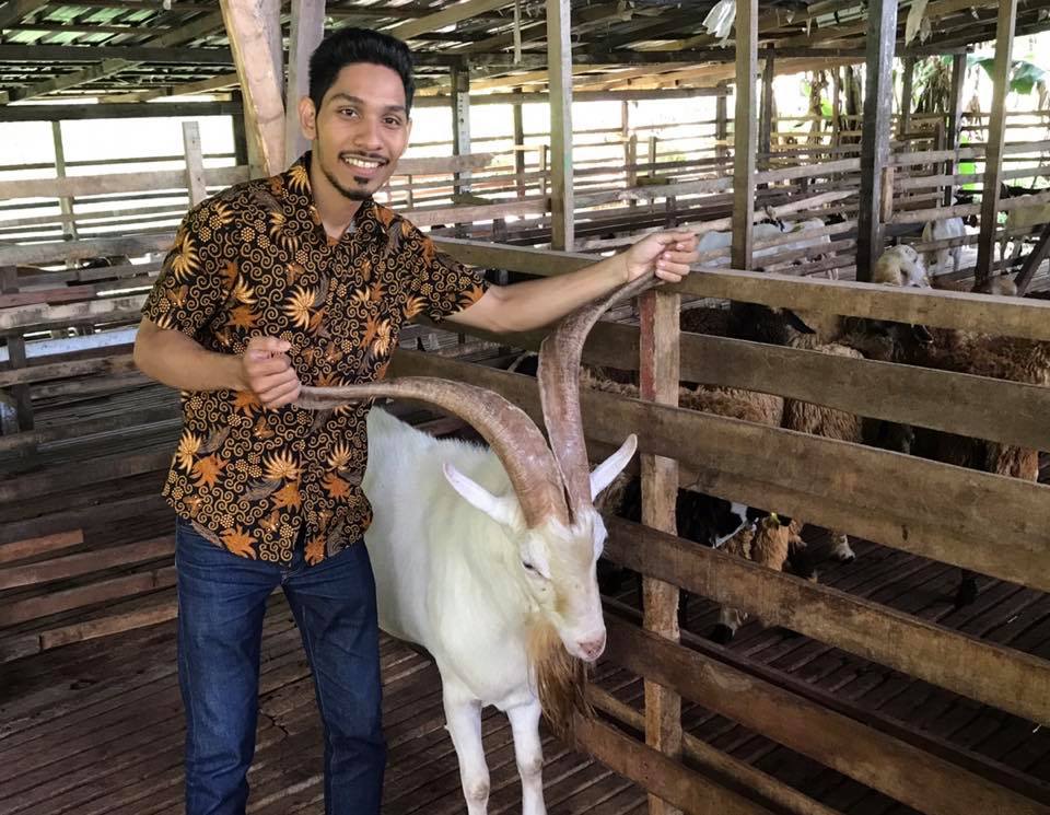 Habibah Meat - Habibah Meat Fresh & Frozen Halal Meat